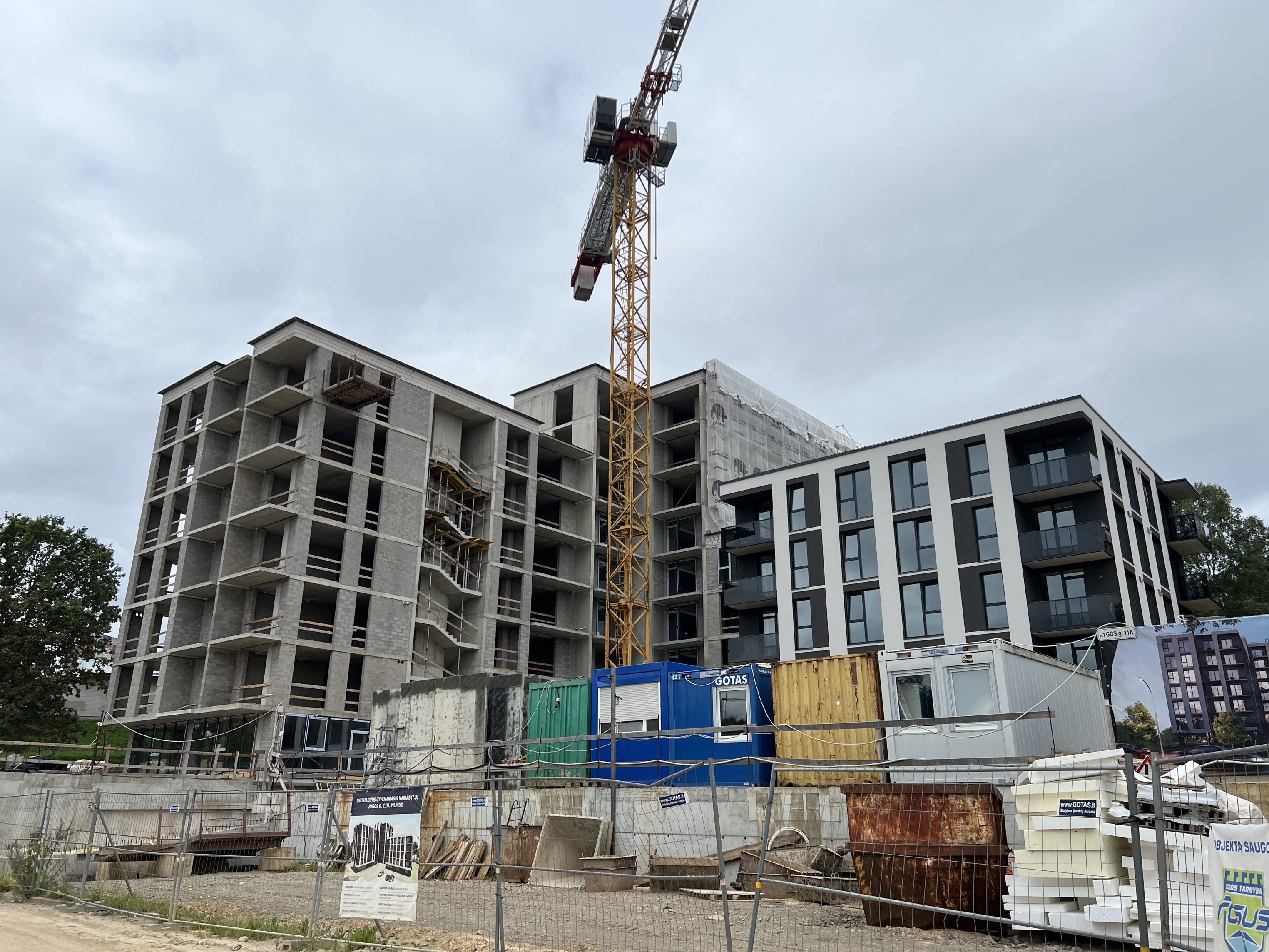 RIGO - statomas - Citify