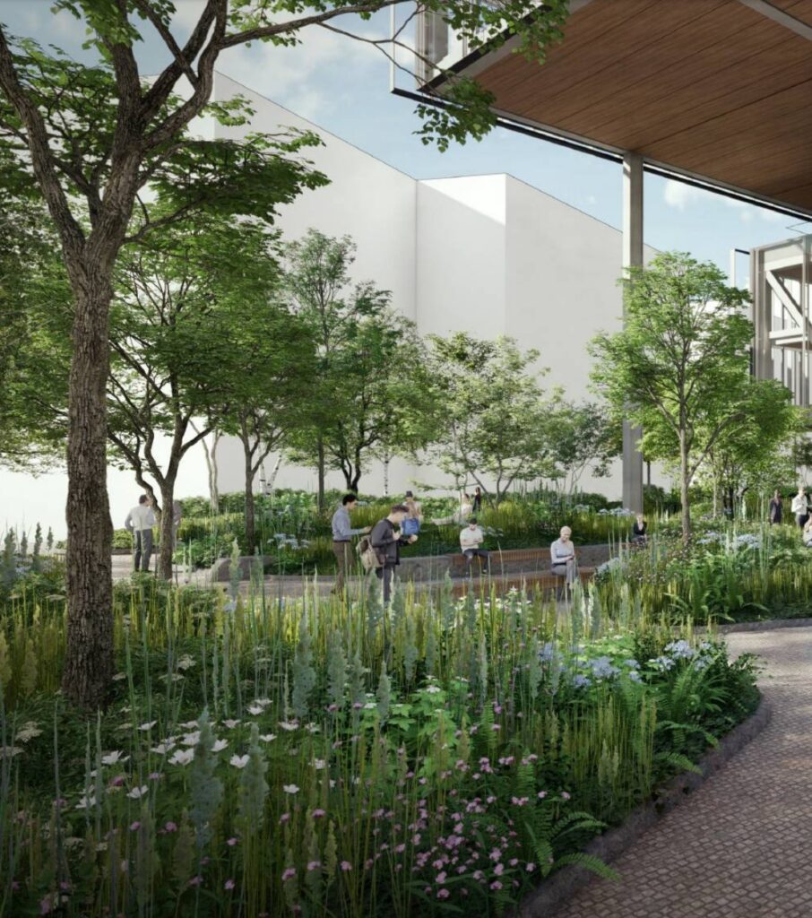 Sąvaržėlė - statomas - Citify