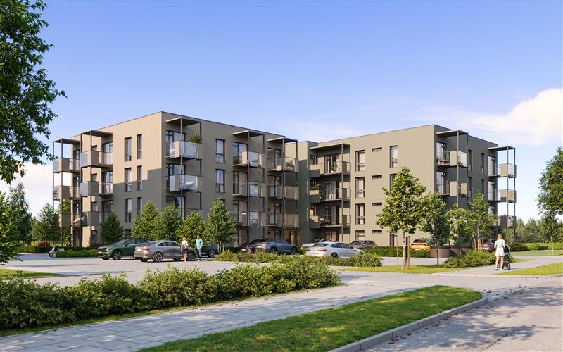 Elzė - statomas - Citify