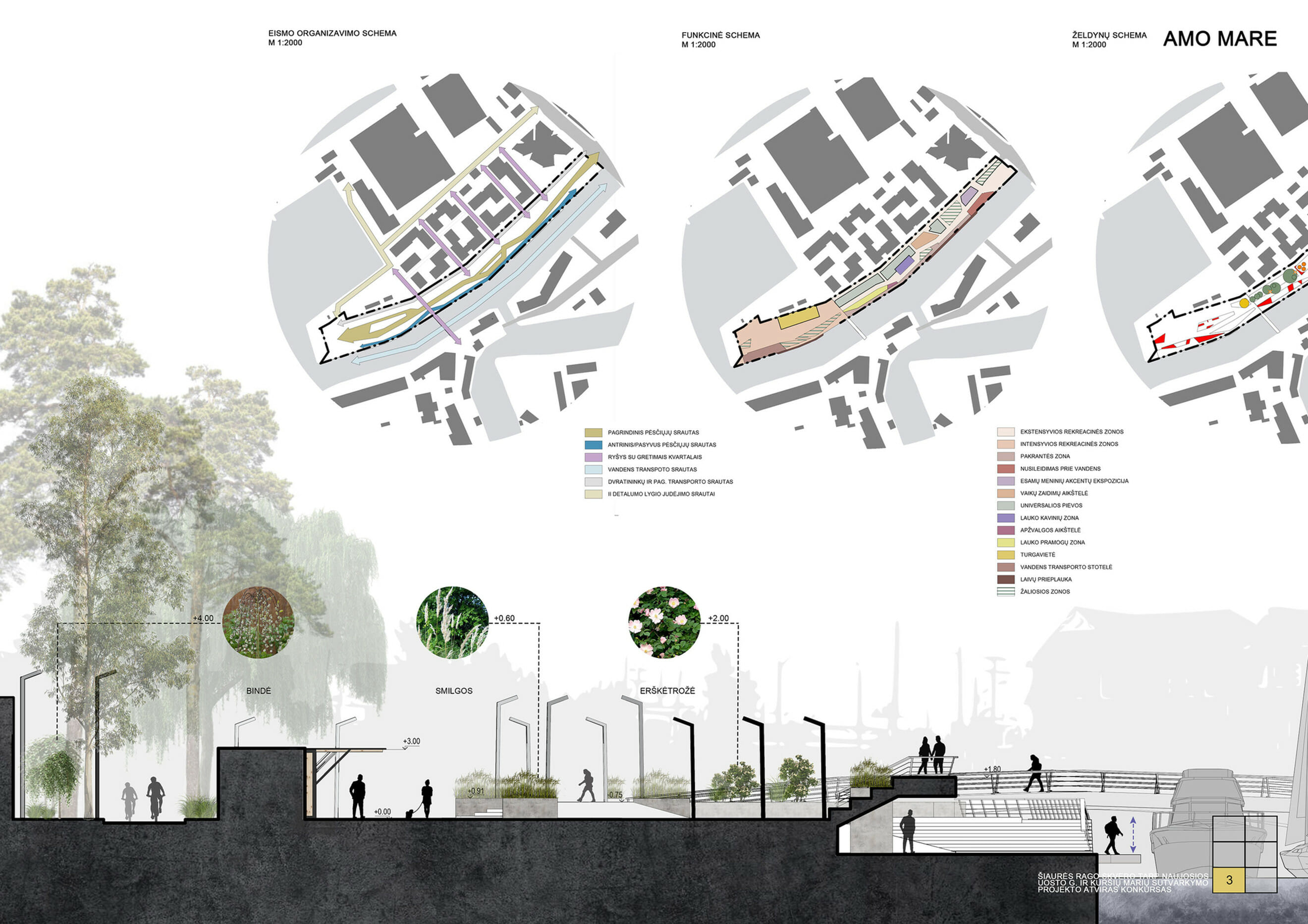 Šiaurės ragas - planned - Citify