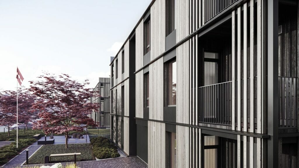 Palejas - finished - Citify