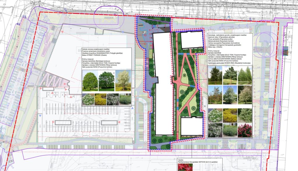 Drujos g. 2, 3 etapas - planned - Citify